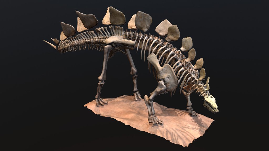 Paleoart Reference - A 3D model collection by Dr Alice Watterson ...