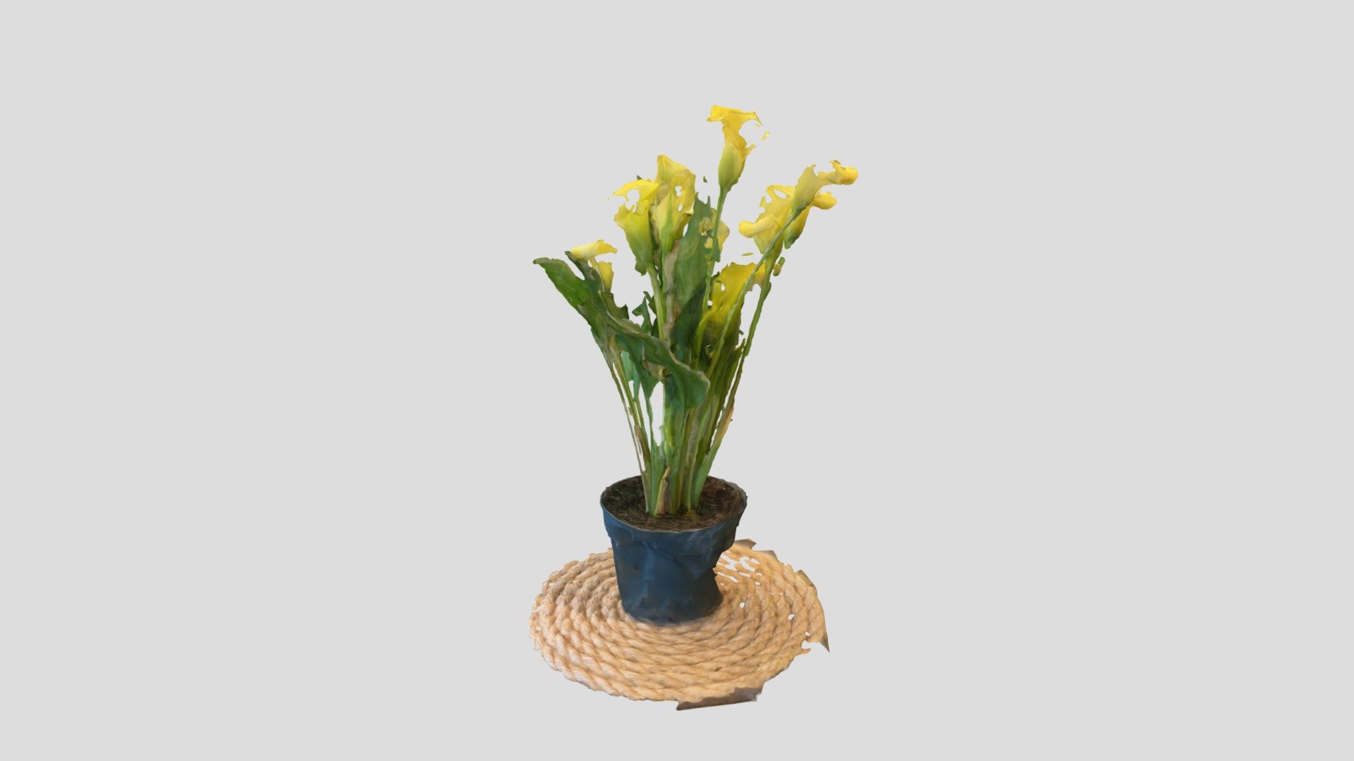CV11 flower test - Download Free 3D model by cmalanson [6cff251 ...