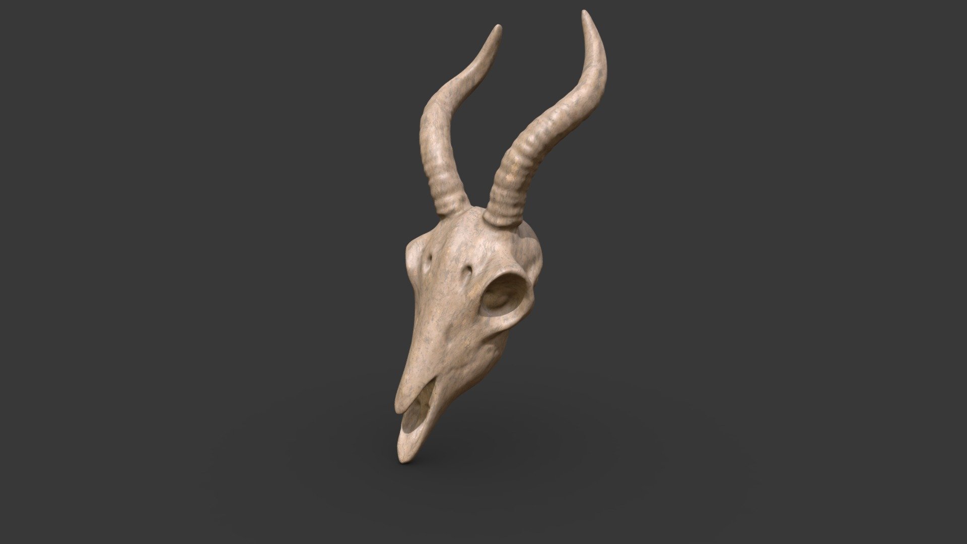 Goat Skull - Buy Royalty Free 3D model by Ryan Lewis (@RevanHilts ...
