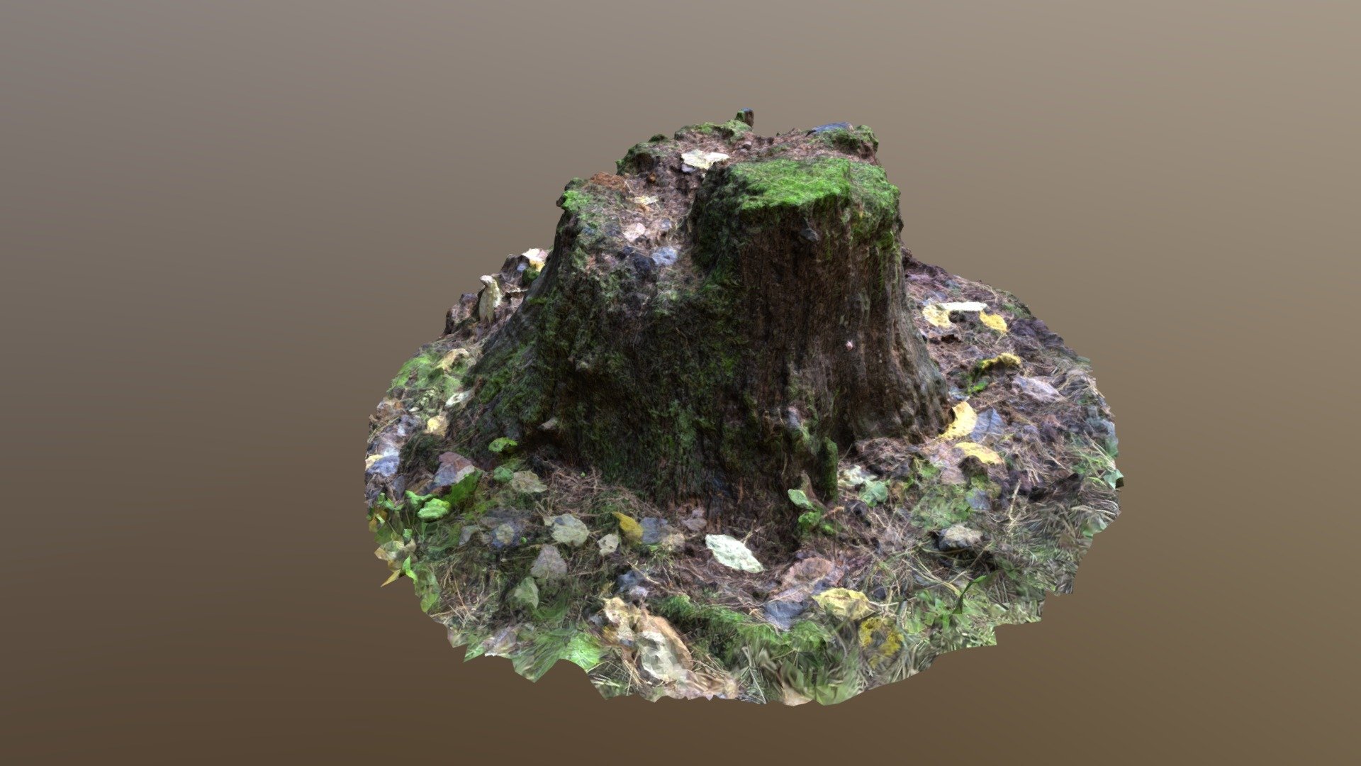 Stump - 3D model by NormalMap [6d03e56] - Sketchfab