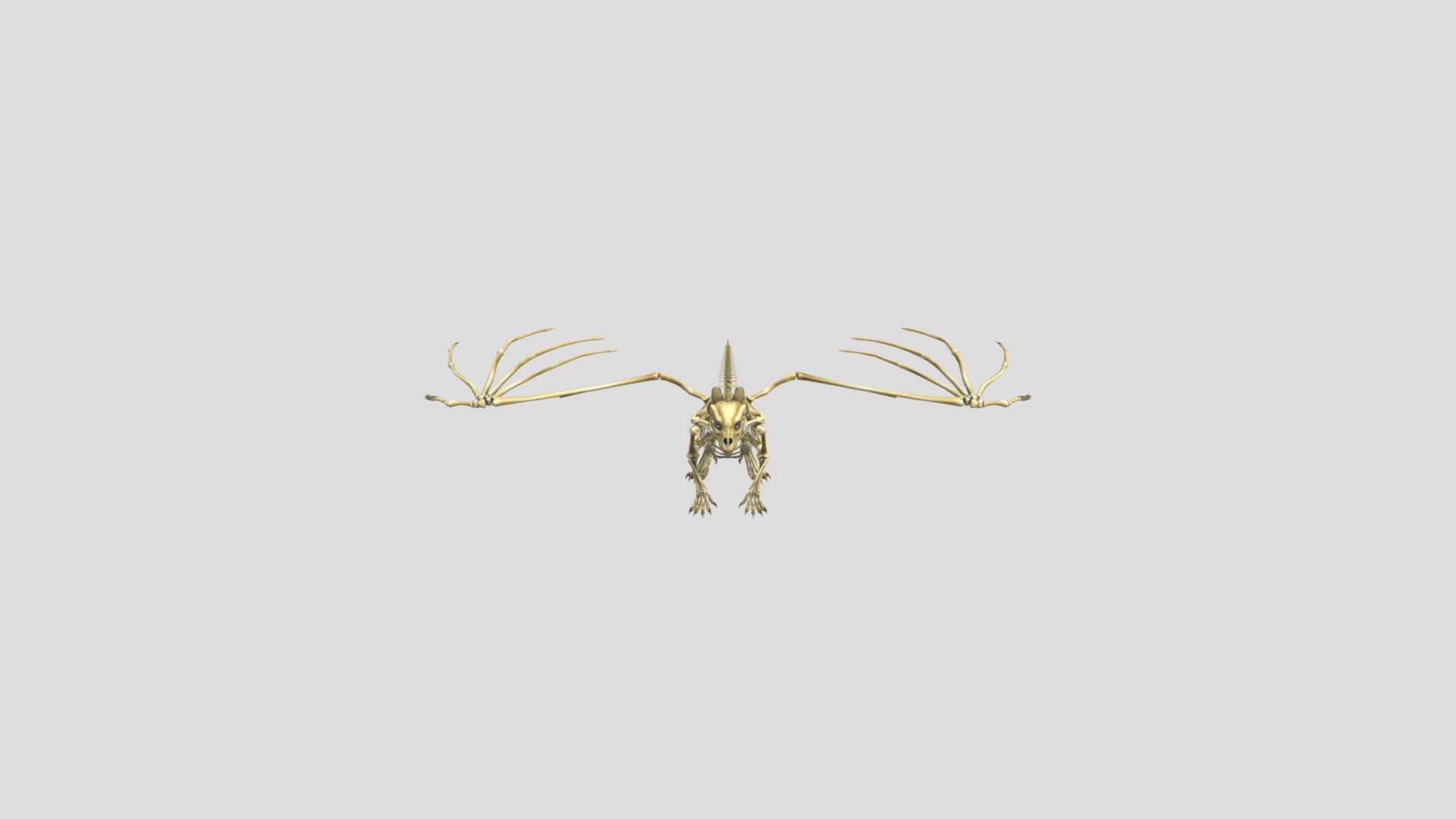 Dragon Skeleton - Download Free 3D model by Sammy the Citipati ...
