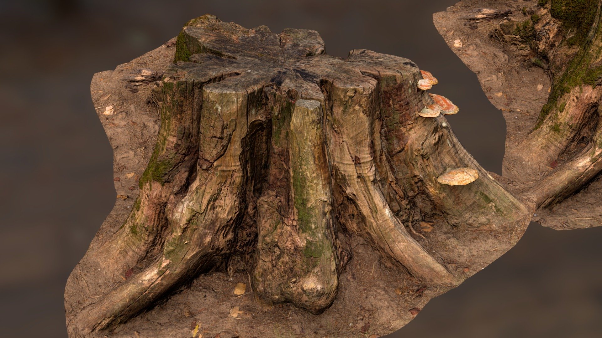 Old wood stump with LOD's 8K textures - Buy Royalty Free 3D model by Di ...