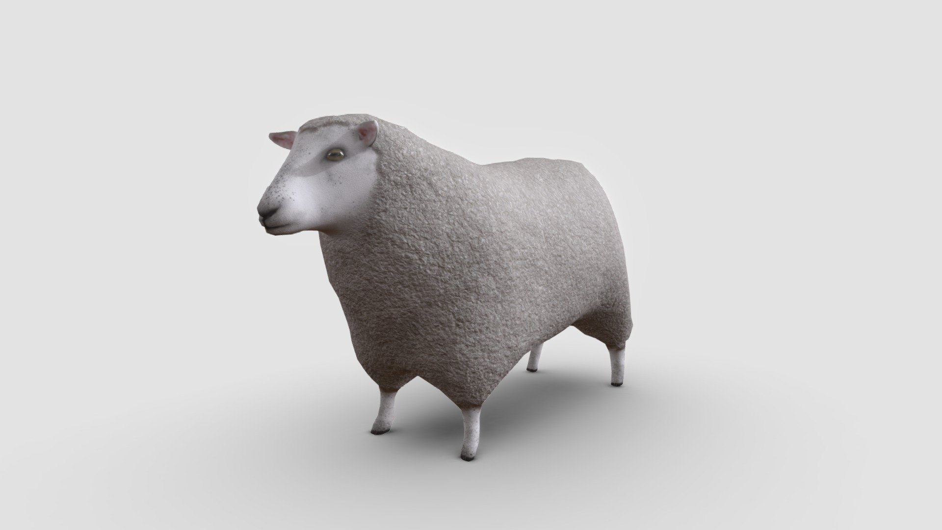 Sheep - Download Free 3D model by Odin Branigan (@Odin.Branigan ...