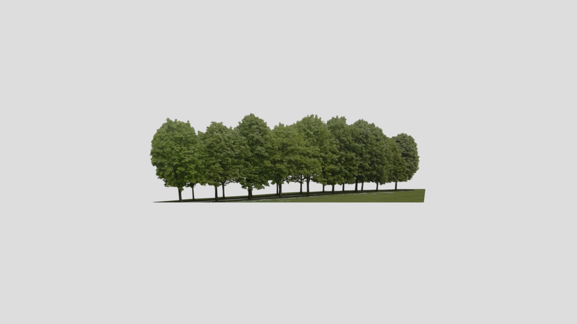 Foliage A04 - Download Free 3D model by bohuslavhybasek [6d109cd ...