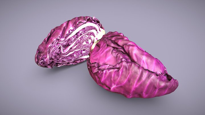 Cabbage 3D models - Sketchfab