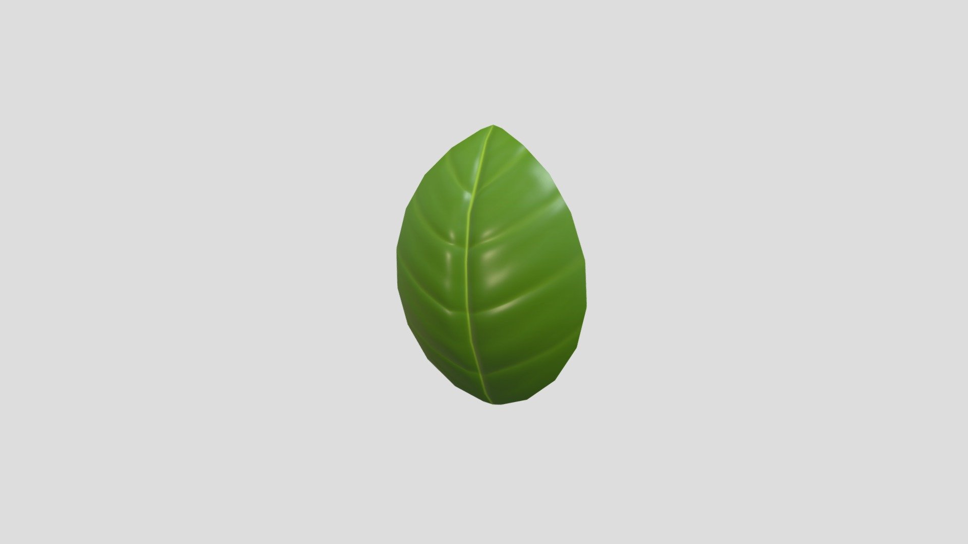 Basil - Buy Royalty Free 3D model by bariacg [6d137e4] - Sketchfab Store