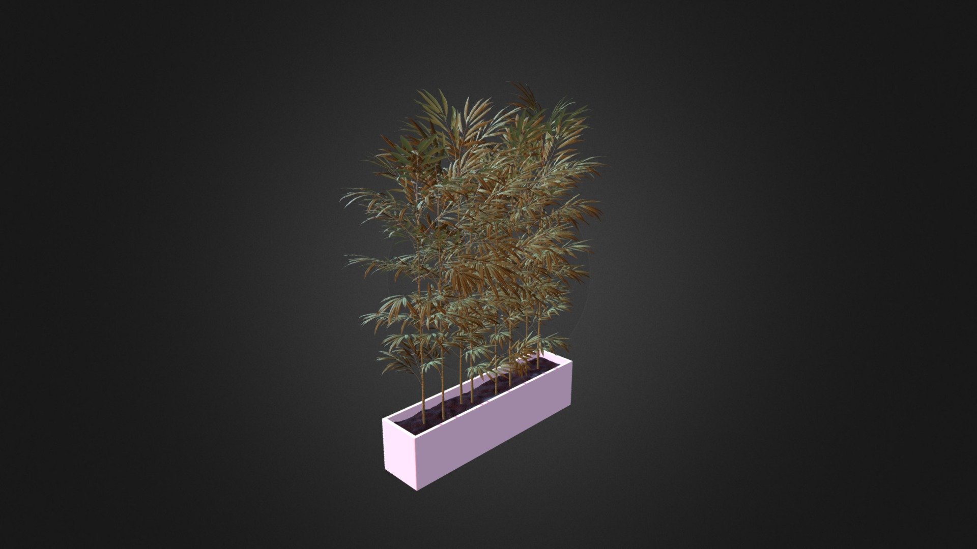 Bamboos in Large Rectangular Pot - Buy Royalty Free 3D model by cgaxis ...