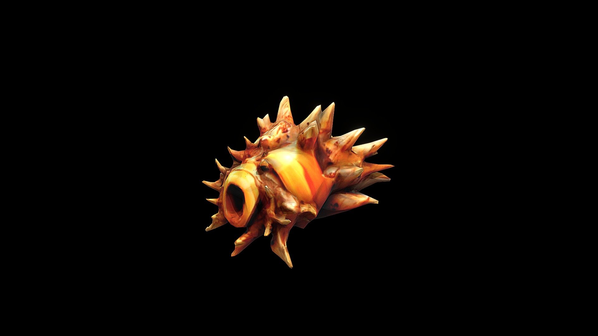 a 3d model of a sea shell with a hole in the - Download Free 3D model ...