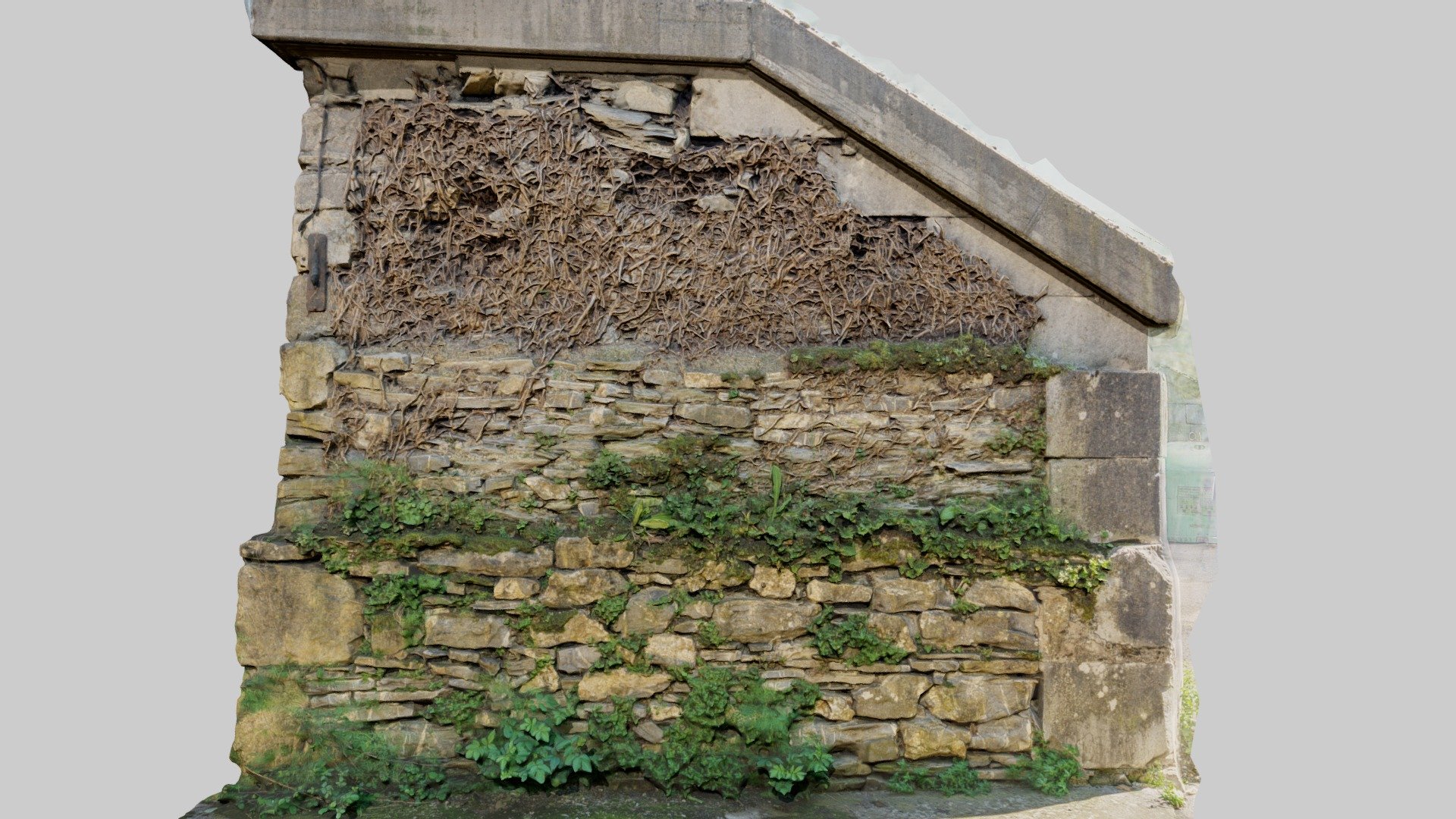 Green wall - Download Free 3D model by yelizegi - PUNTTULANBRO ...