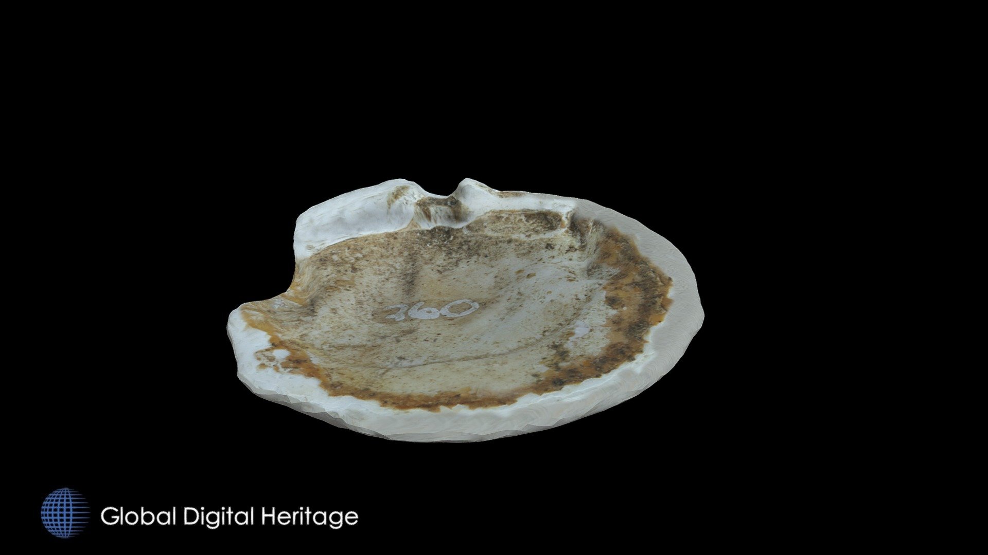 Shell Scoop or Cup. XCB-001-260 - Download Free 3D model by Global ...