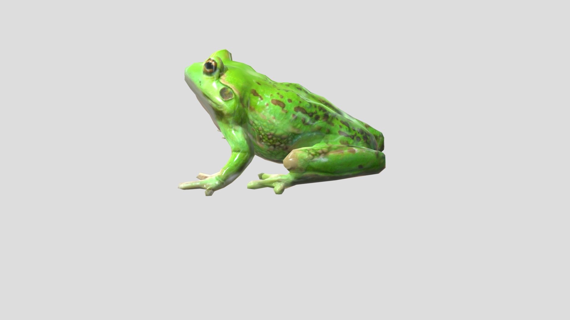 test 1 - Download Free 3D model by fadhilomer [6d2de0c] - Sketchfab
