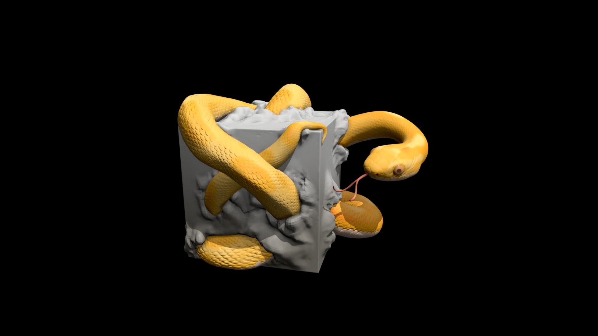 Snake Sculpt - 3D model by cyrielle (@cyrielle.delange) [6d37c89 ...