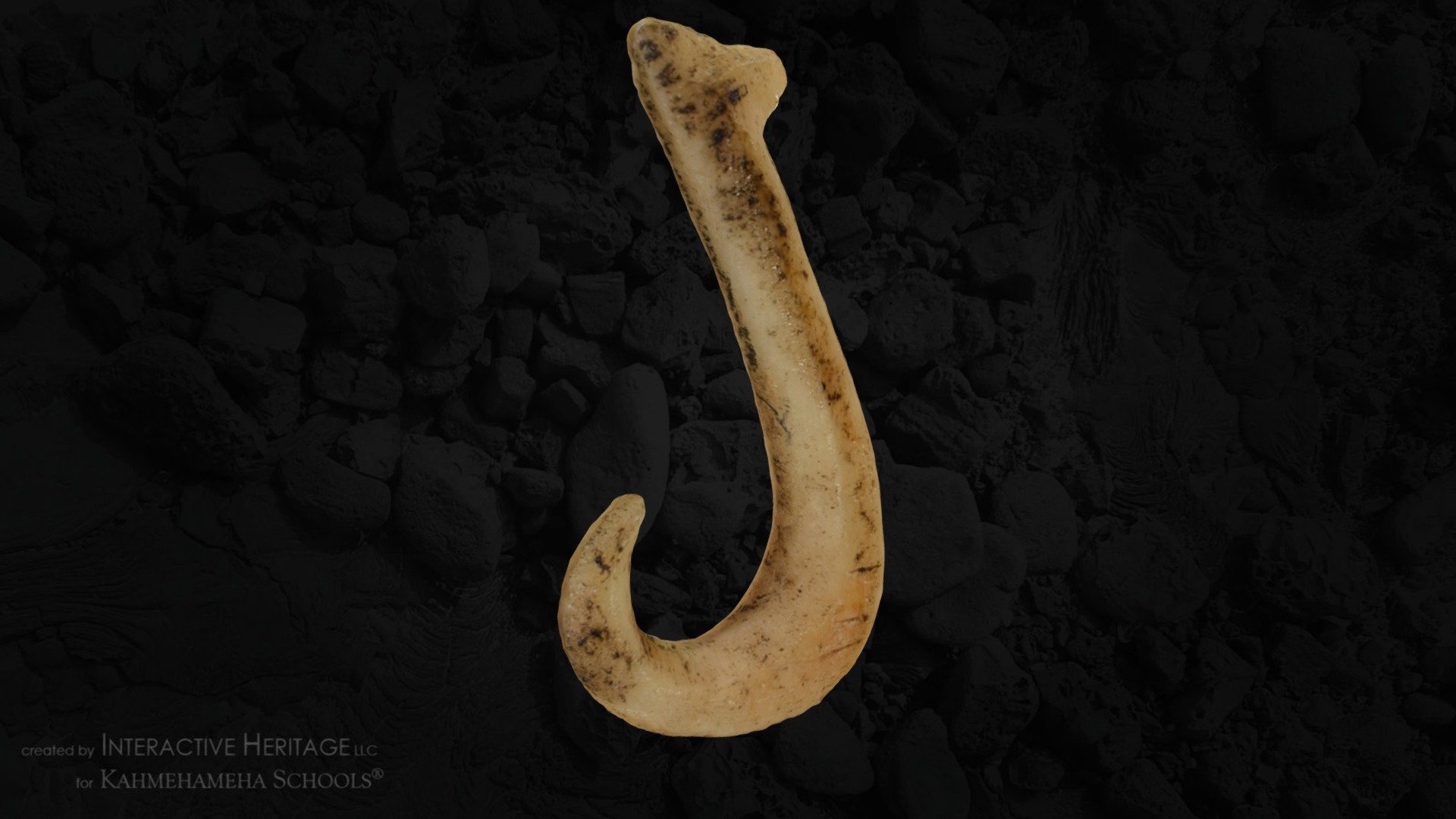 Makau - Bone Fishhook (11143-16) - 3D model by interactiveheritage ...