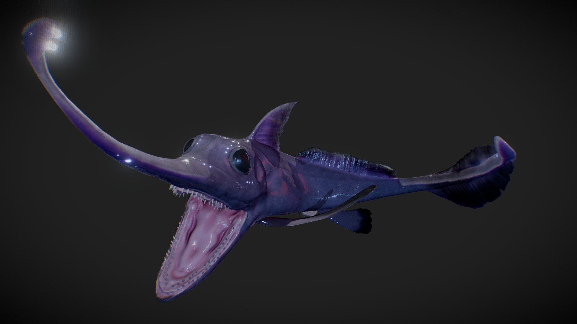 Ghost Fish (Textured) - 3D model by Carolina Amorim (@Camorim) [6d40a24 ...