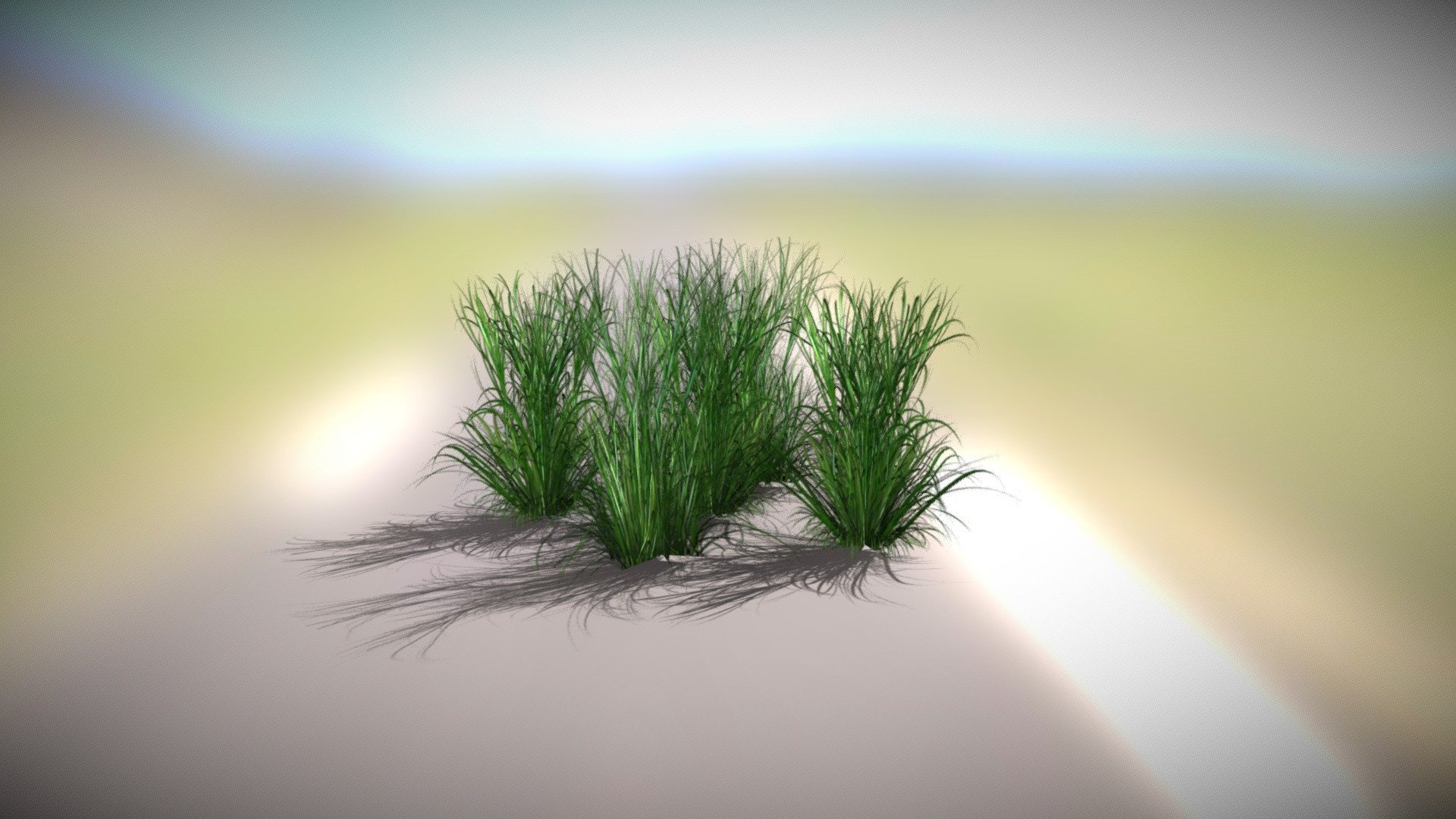 Grass - Download Free 3D model by sam (@serpent) [6d418b9] - Sketchfab