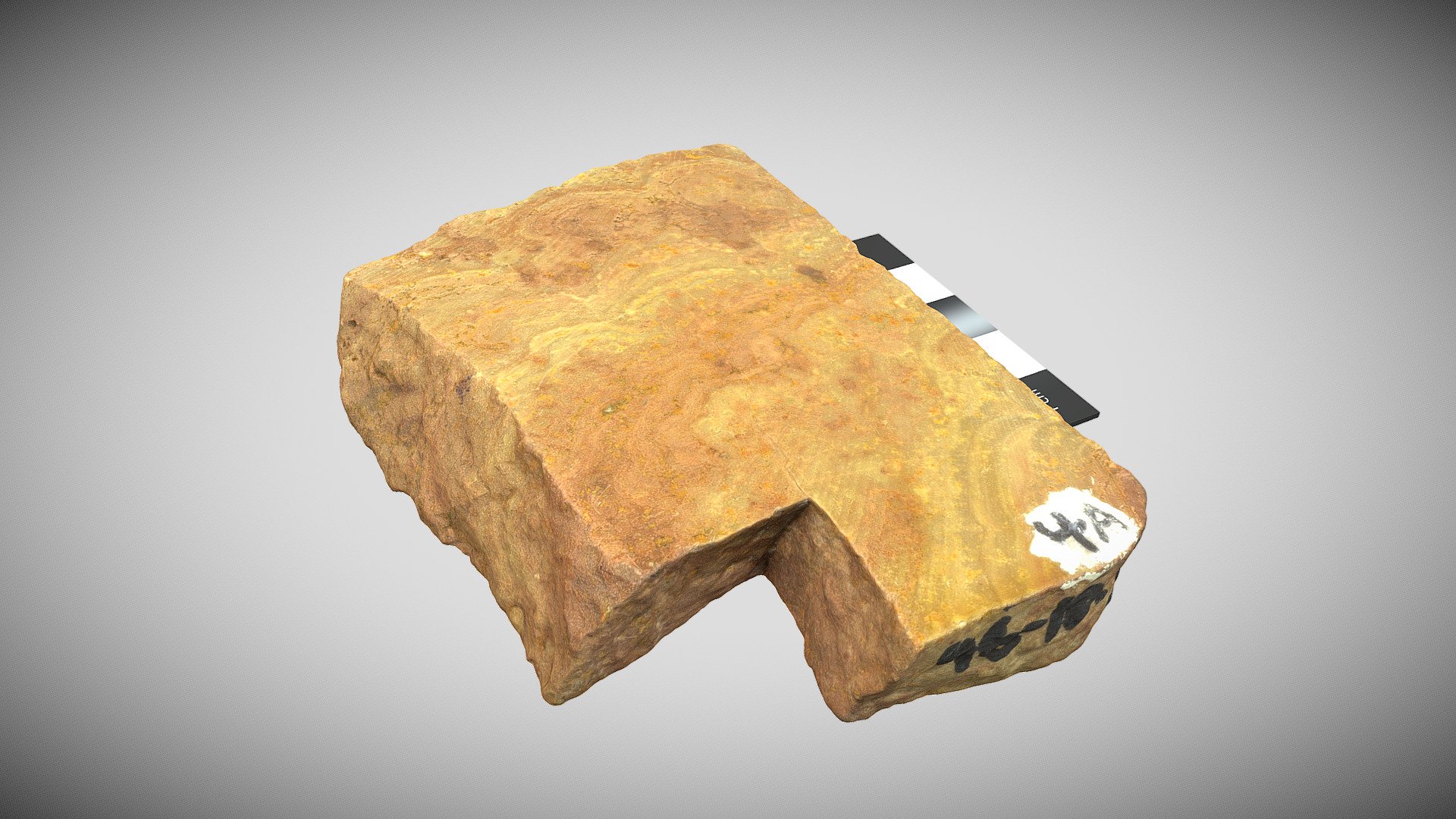 Stromatolites - 3D model by UQ School of the Environment (@UQ_SEES ...