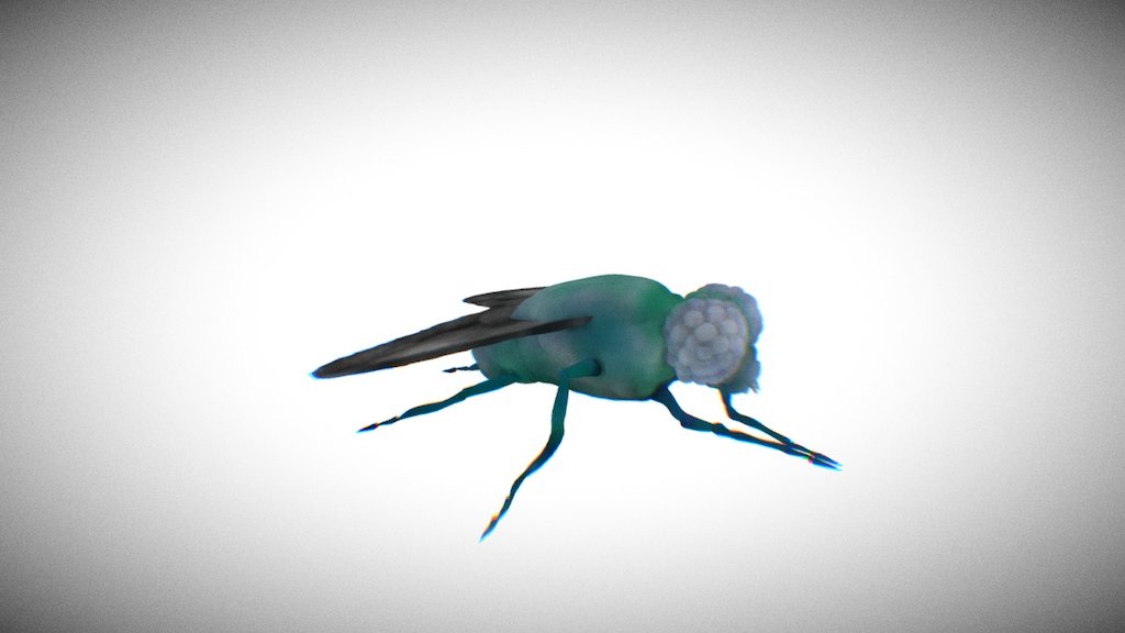 Fly - 3D model by Marco.Zannini [6d46861] - Sketchfab