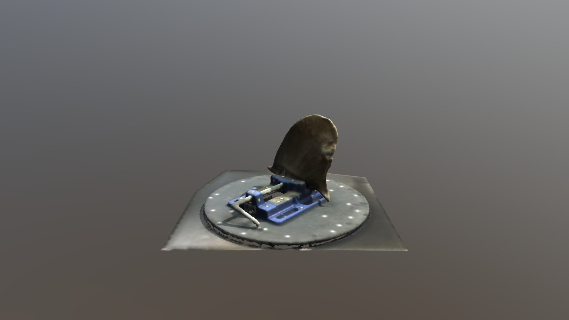 Shark Fin 1 - 3D model by alexhussain [6d4cf02] - Sketchfab