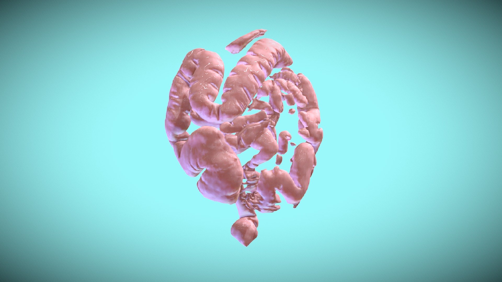 Megacolon - Download Free 3D model by foresthobo [6d532aa] - Sketchfab