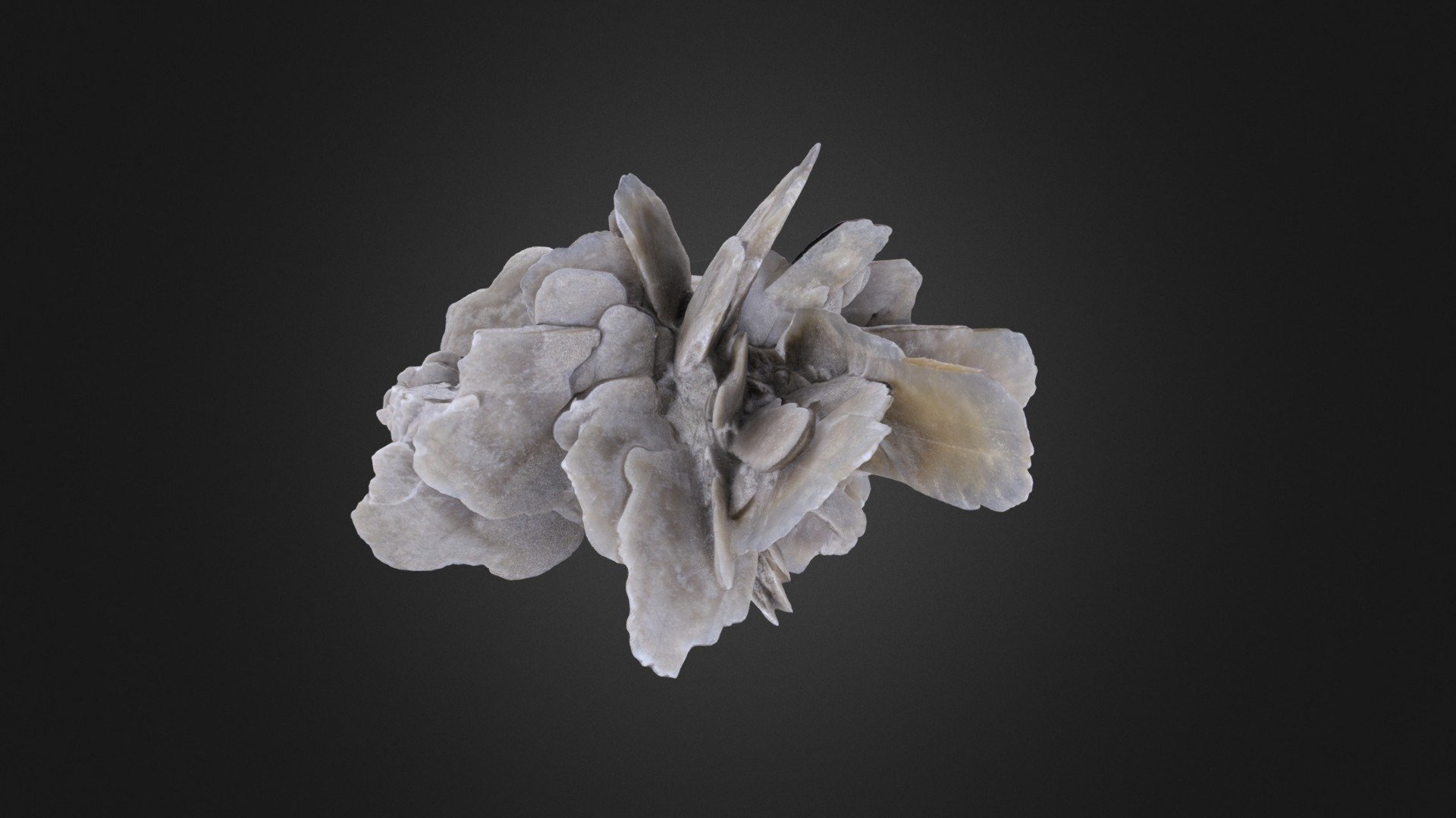 Gypsum rose, Algeria - 3D model by mooootabenarenai (@miner.xiong ...