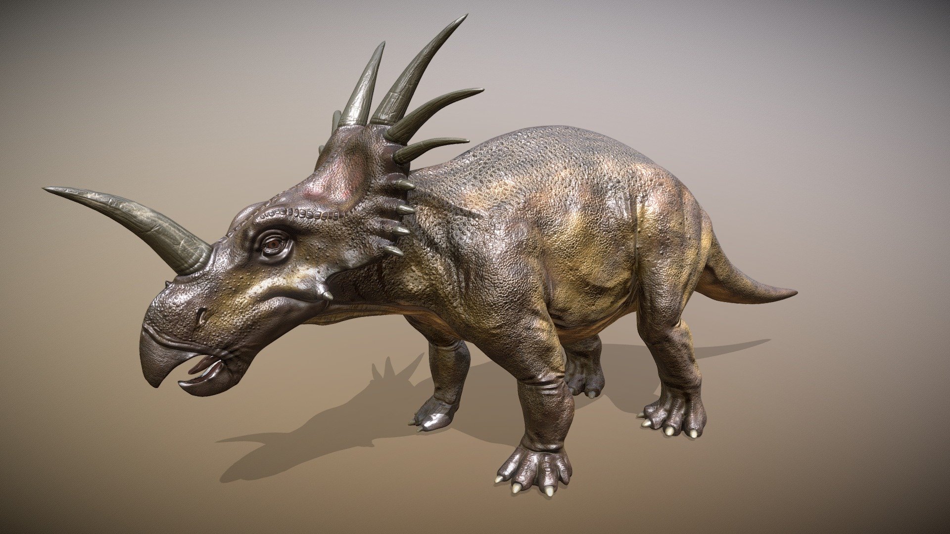Styracosaurus - 3D model by Kakeru Fujimiya (@K_Fujimiya) [6d662b3 ...