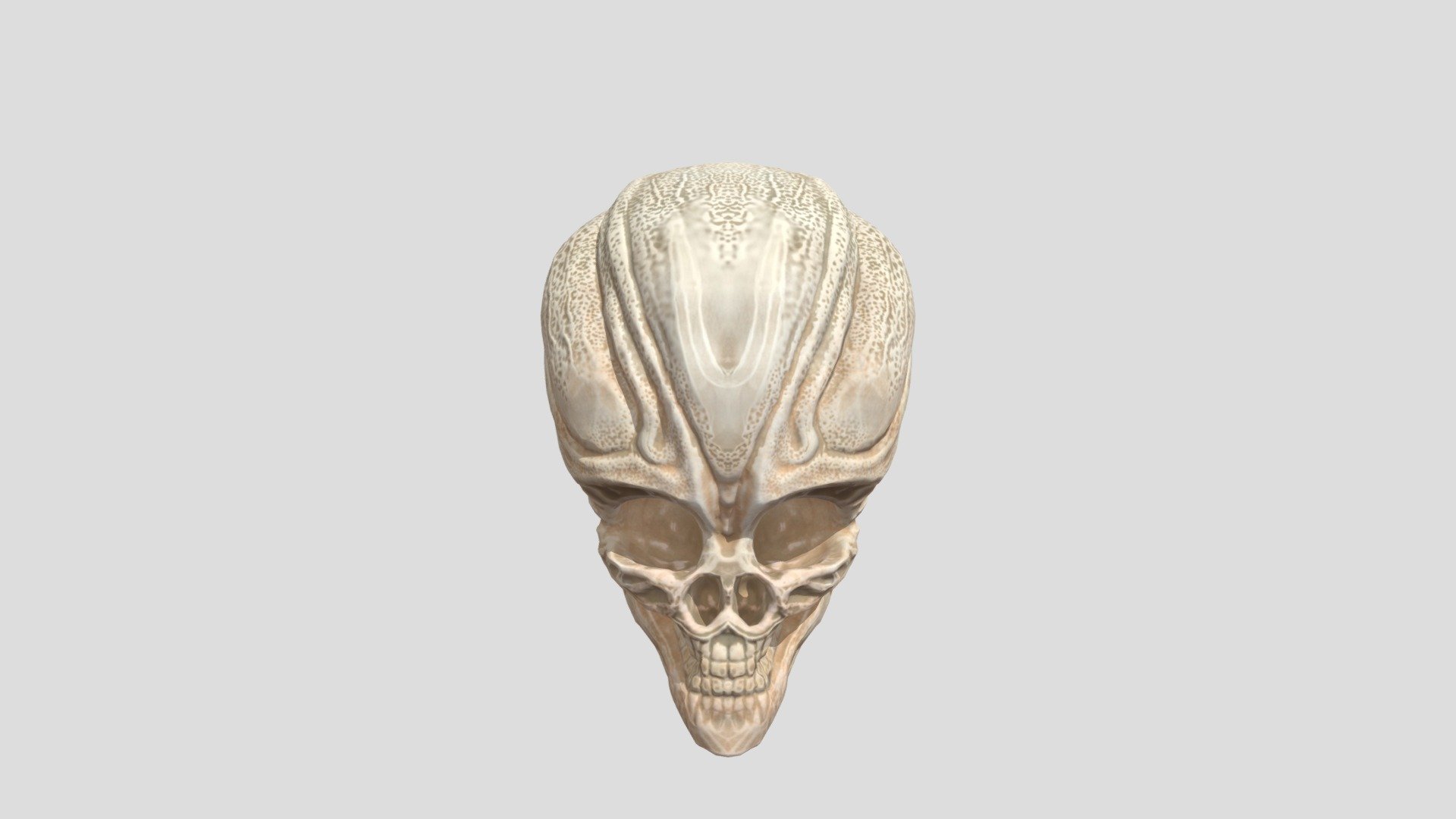 Alien Skull - 3D model by glem82 [6d6bcfb] - Sketchfab