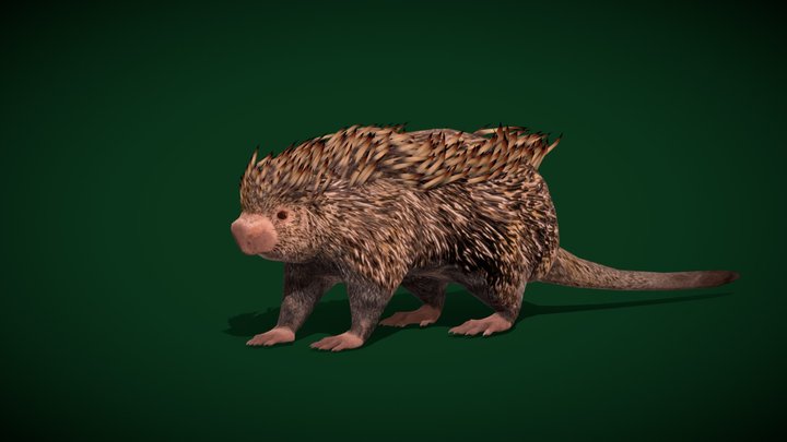 Quill 3D models - Sketchfab