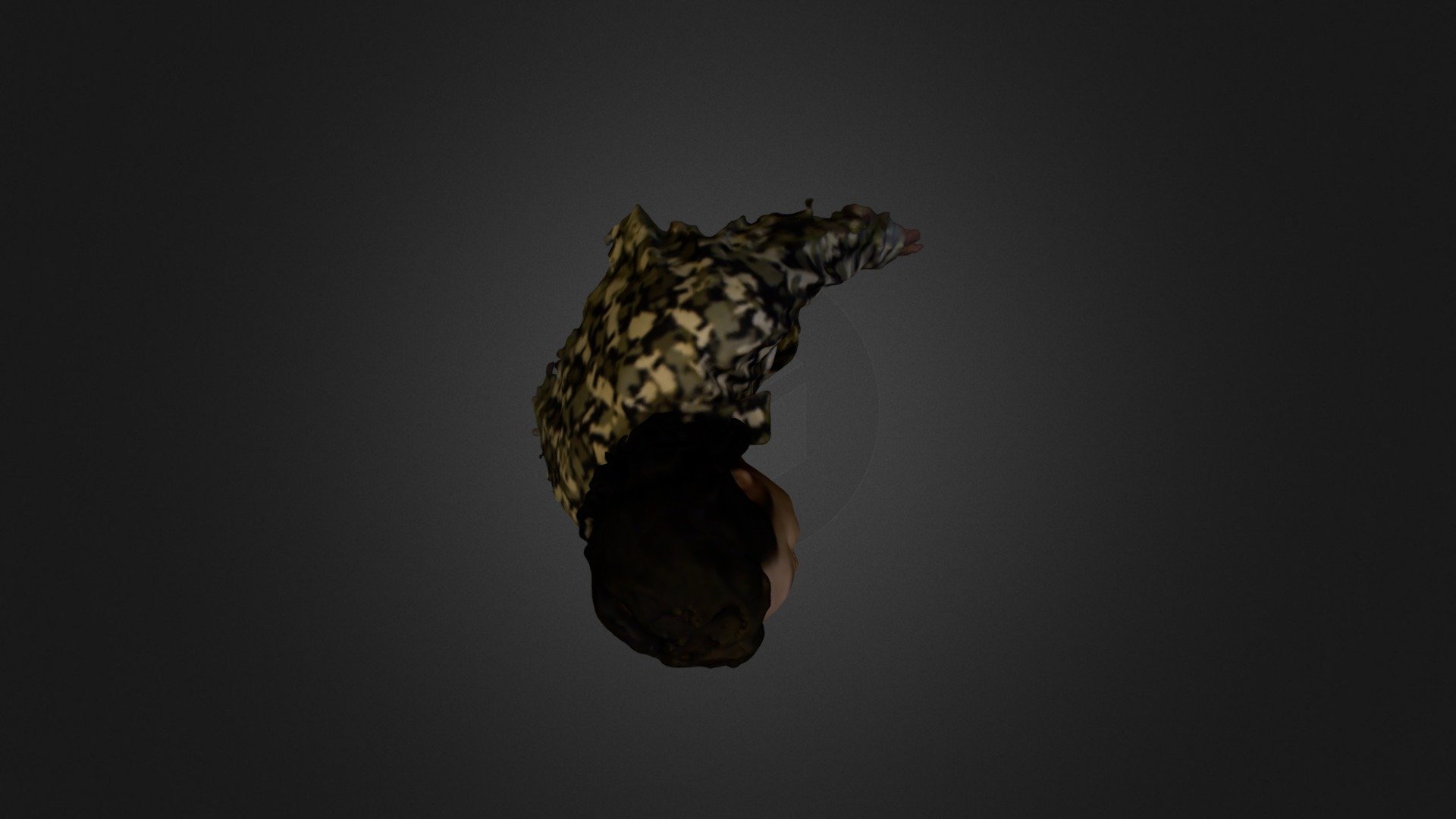2047 - 3D model by 3DSCANBOT [6d713d2] - Sketchfab
