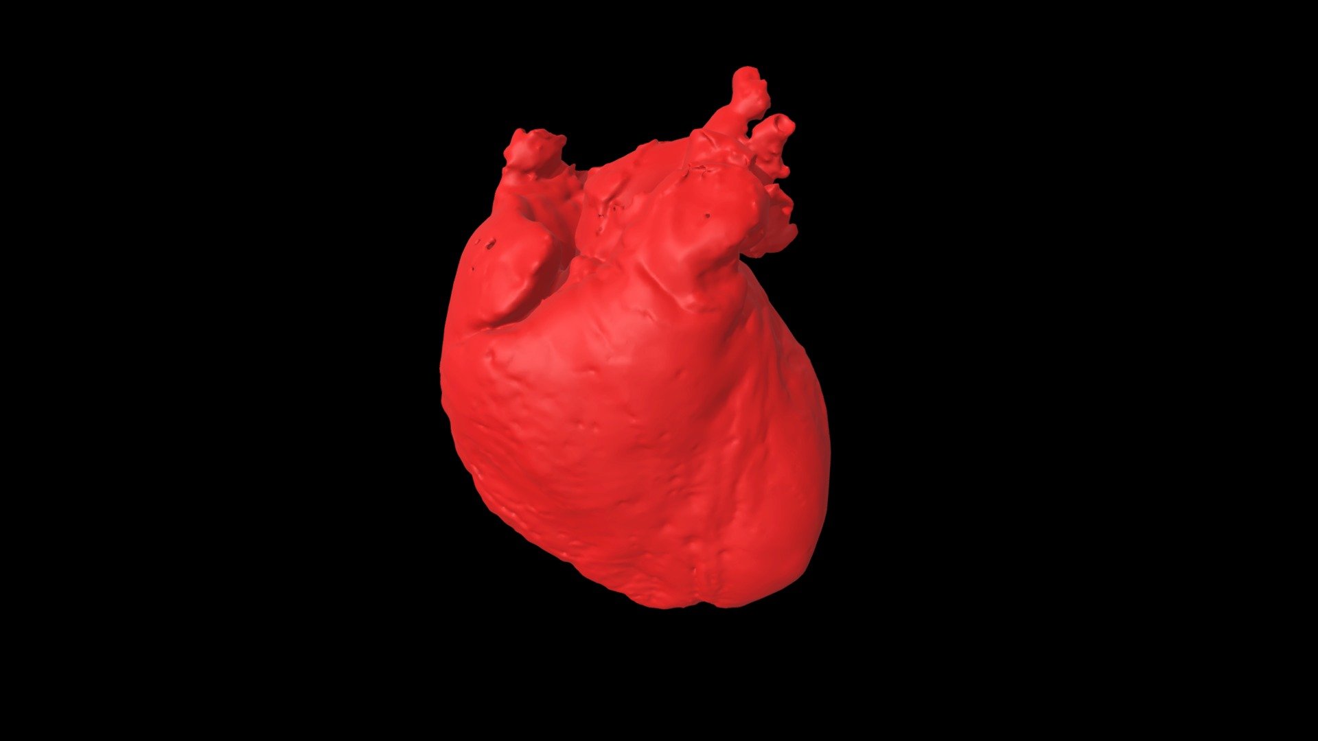 Pediatric Heart Model- Heart0175 - Download Free 3D model by ...