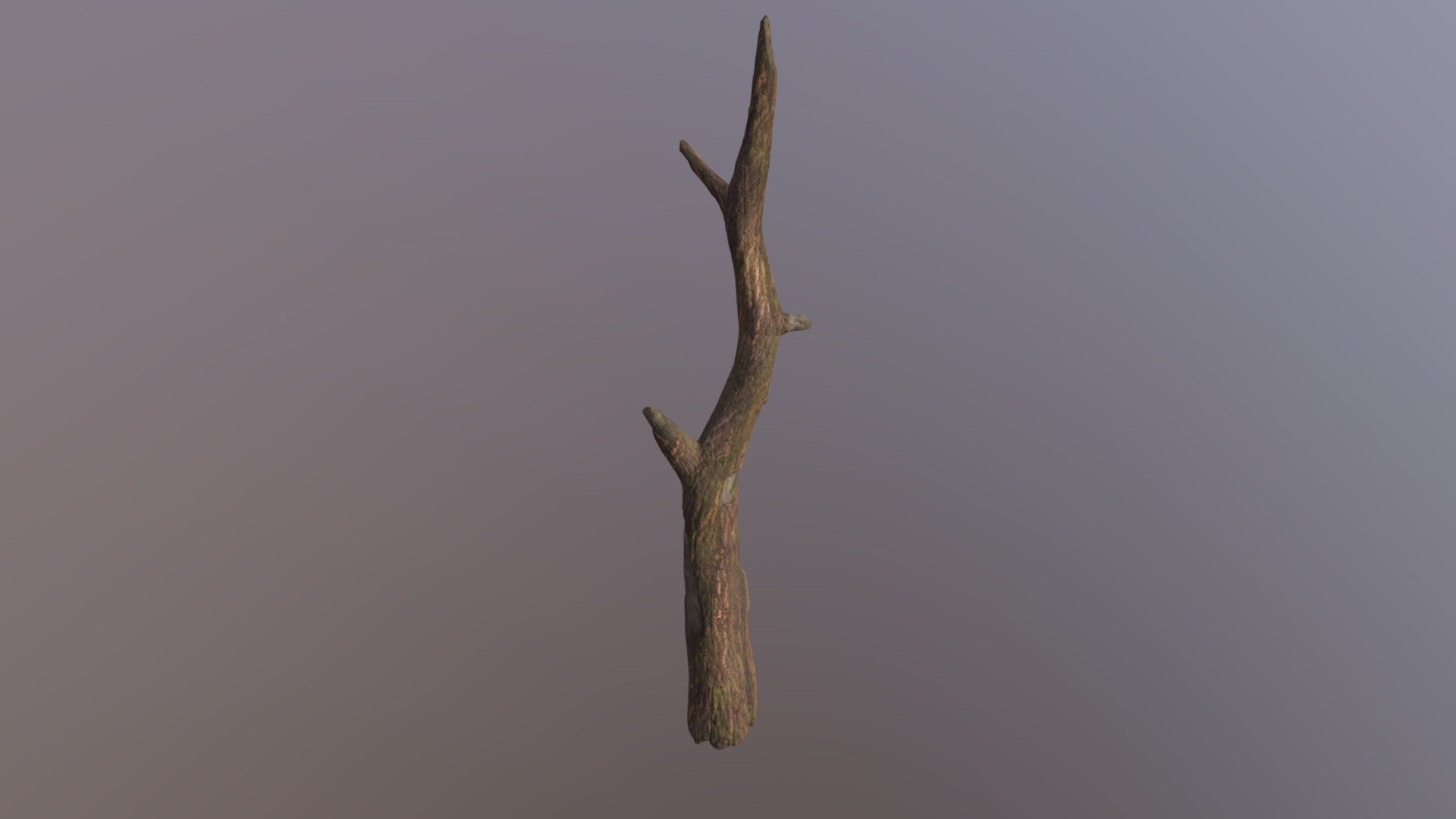 Broken Trunk - 3D model by gktriumph [6d72063] - Sketchfab
