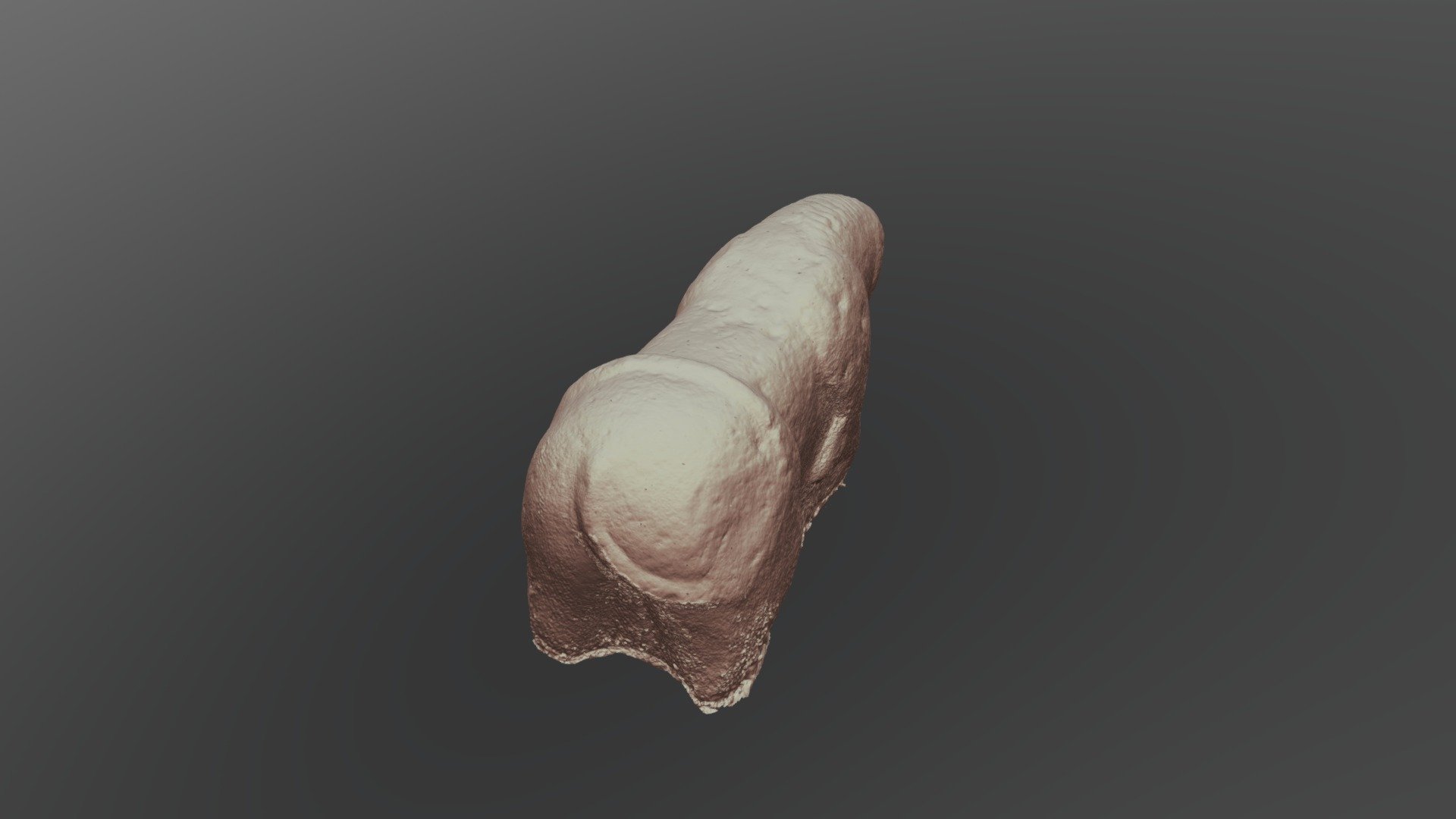 Toro Ibérico - 3D model by jjarqueologo [6d739b8] - Sketchfab