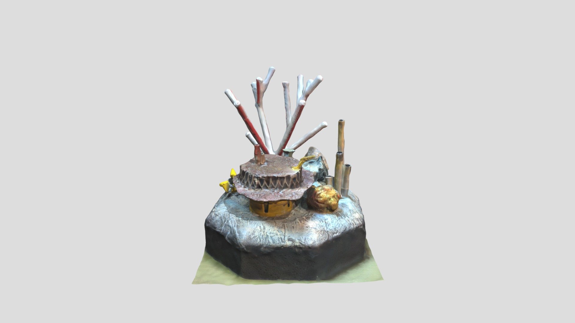 Triassic Coral - 3D model by FinnShuster [6d7f722] - Sketchfab