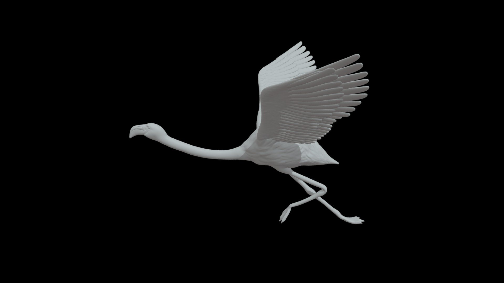 Flamingo 5 - 3D model by grandbolivar [6d85ec4] - Sketchfab