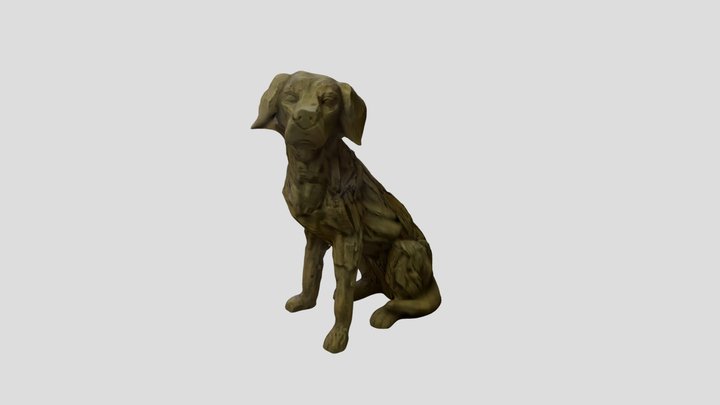 Labrador 3D models - Sketchfab