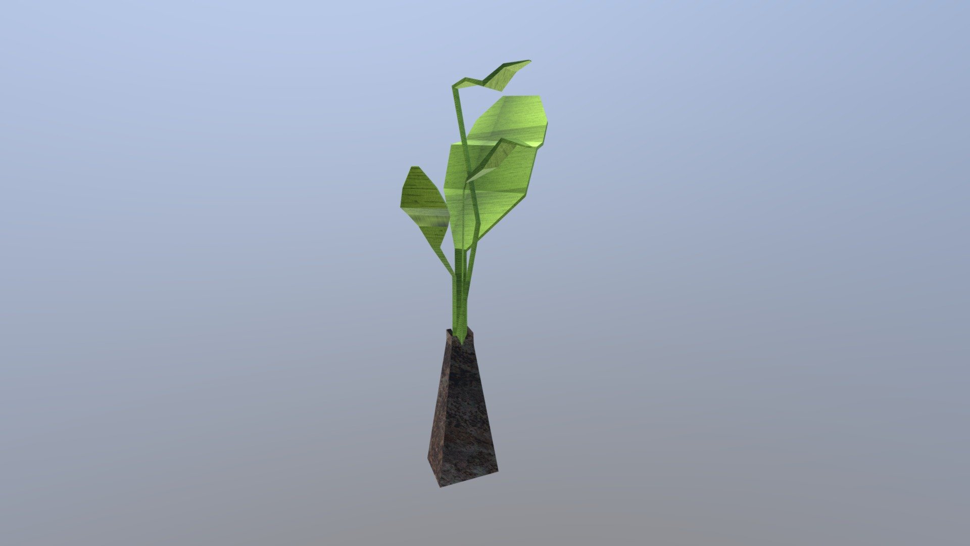 Plant (1) - 3D model by adrianasmith [6d8dc9c] - Sketchfab