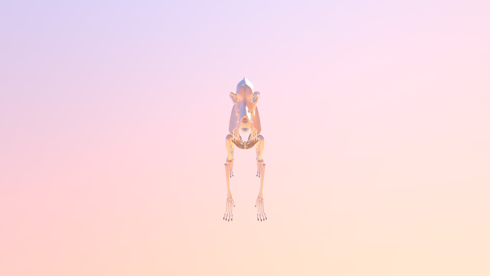 My Sketchfab Mesh - 3D model by iboddvisuals [6d91edb] - Sketchfab