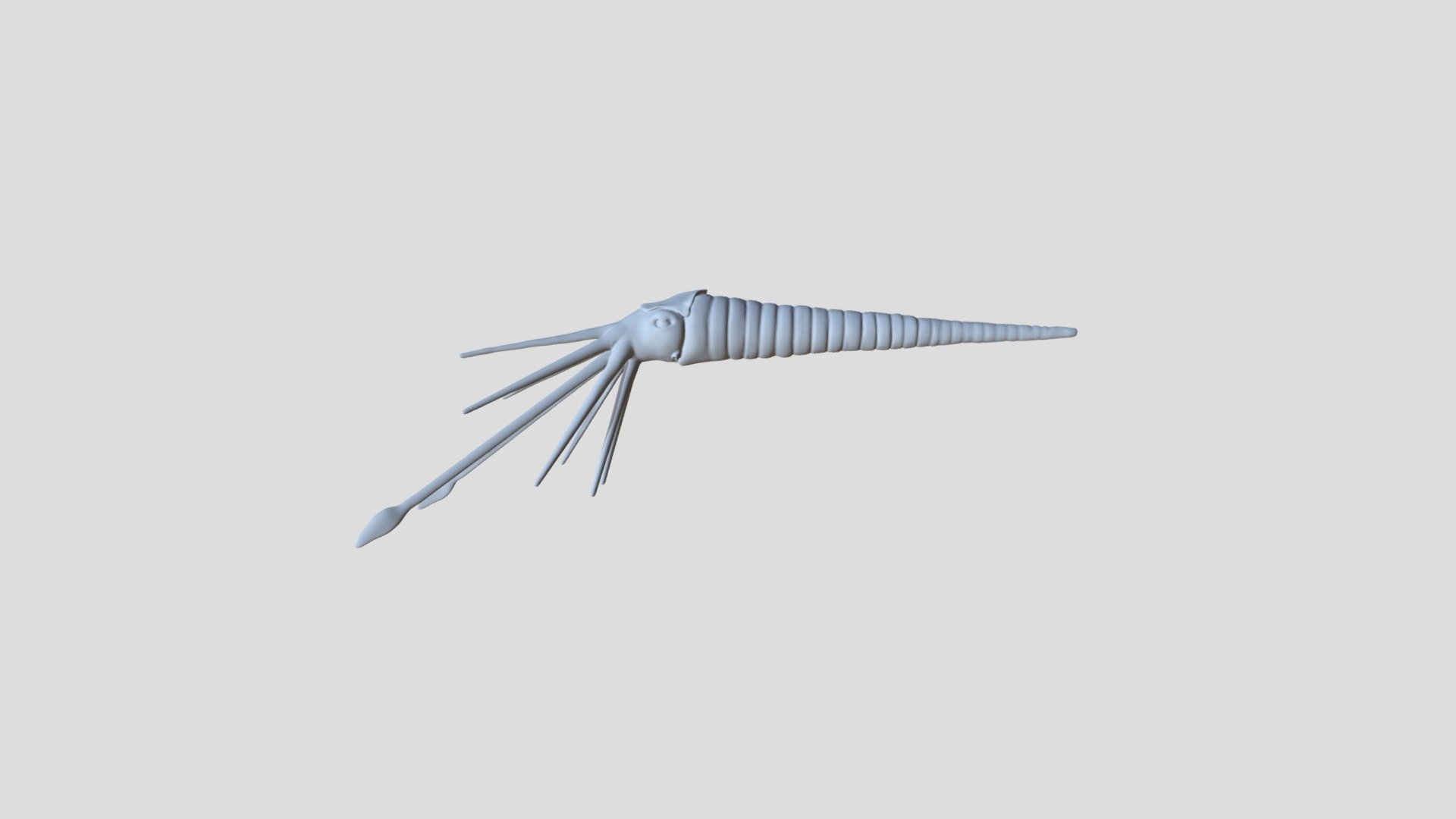 Straight Cephalopod - 3D model by Amanda Wylie (@AmandaWylie) [6d939e4 ...