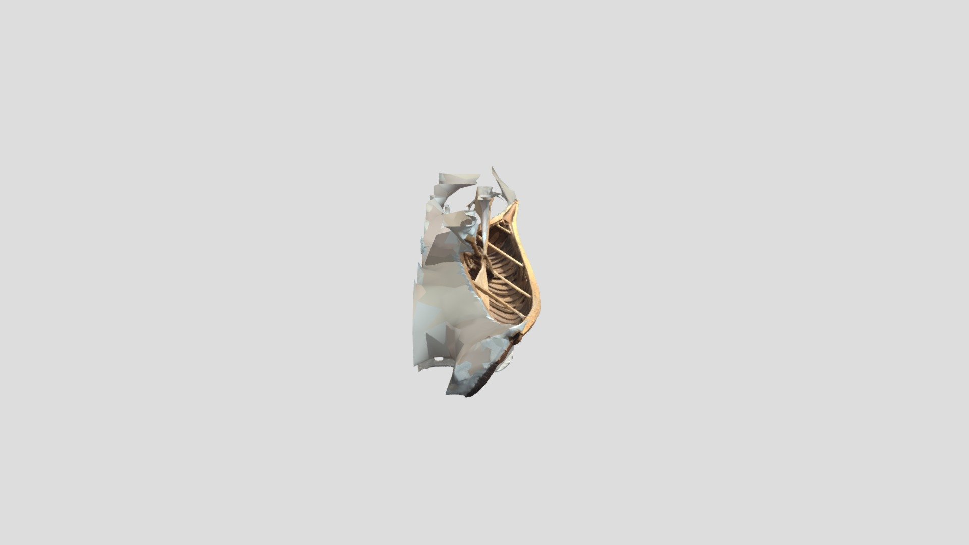 SiteRec Assign.6 Wigwàs Chiman (Birchbark Canoe) - Download Free 3D ...
