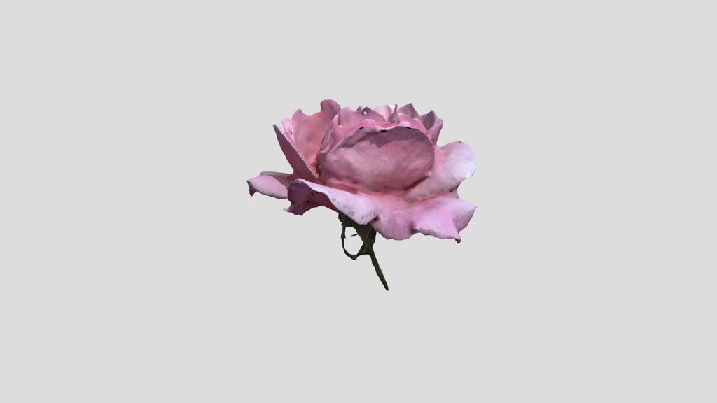 flower - A 3D model collection by jixiang - Sketchfab