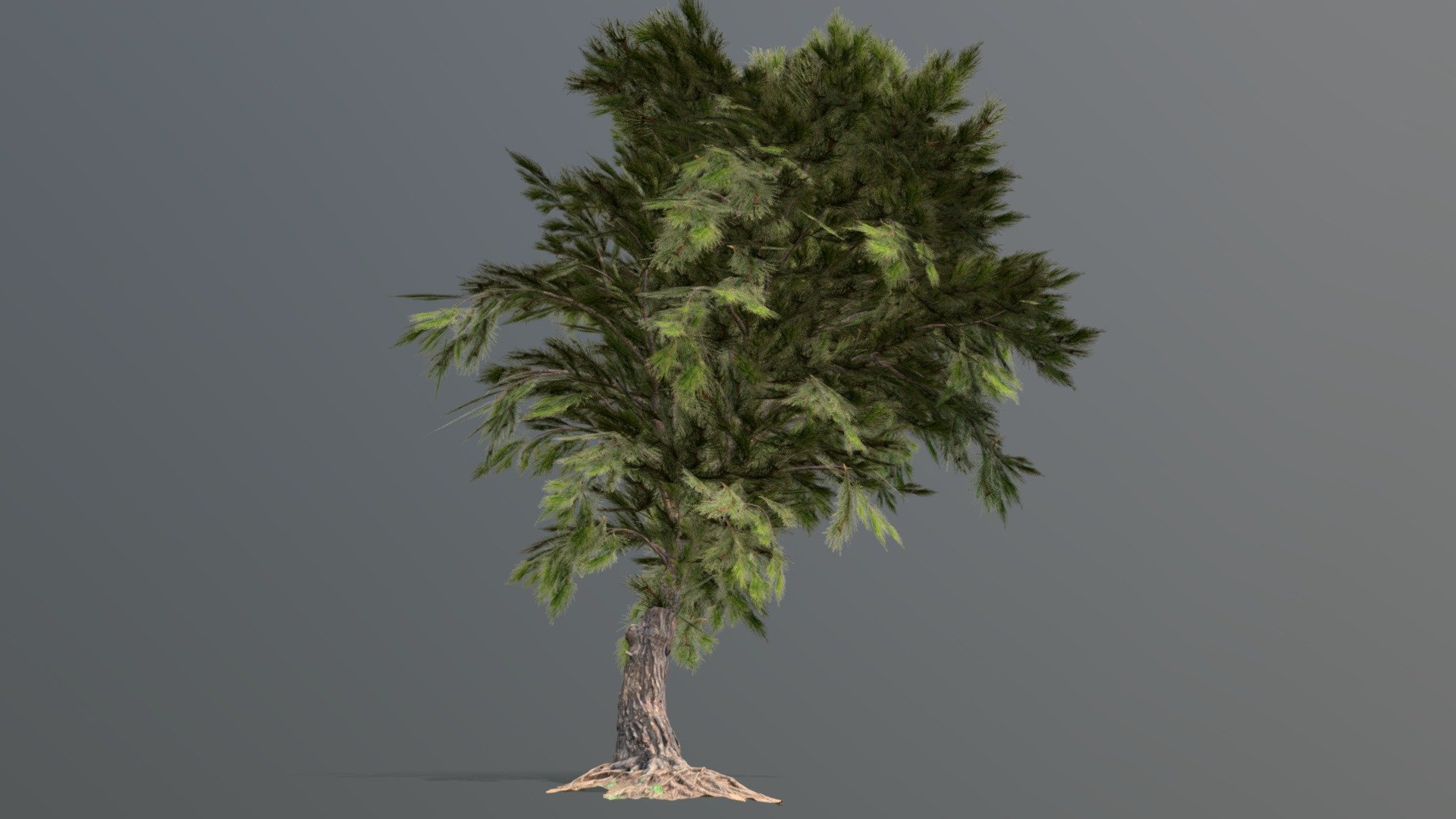 Rigged, Animated Cinematic Quality Tree 1 - Download Free 3D model by ...