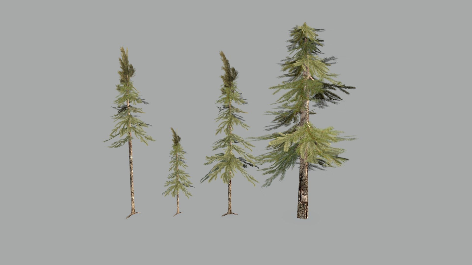 Realistic Trees - 3D model by LadyAbigail [6daa1bd] - Sketchfab