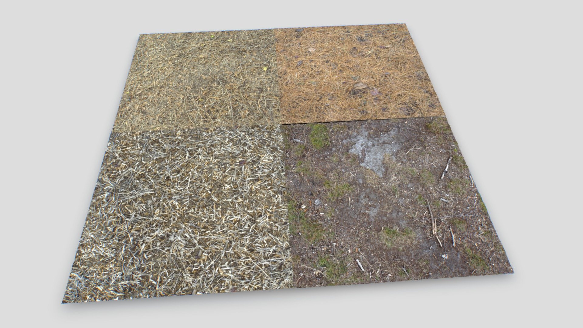 Forest dirt Pack 1 - Buy Royalty Free 3D model by 32cm [6daea4d ...