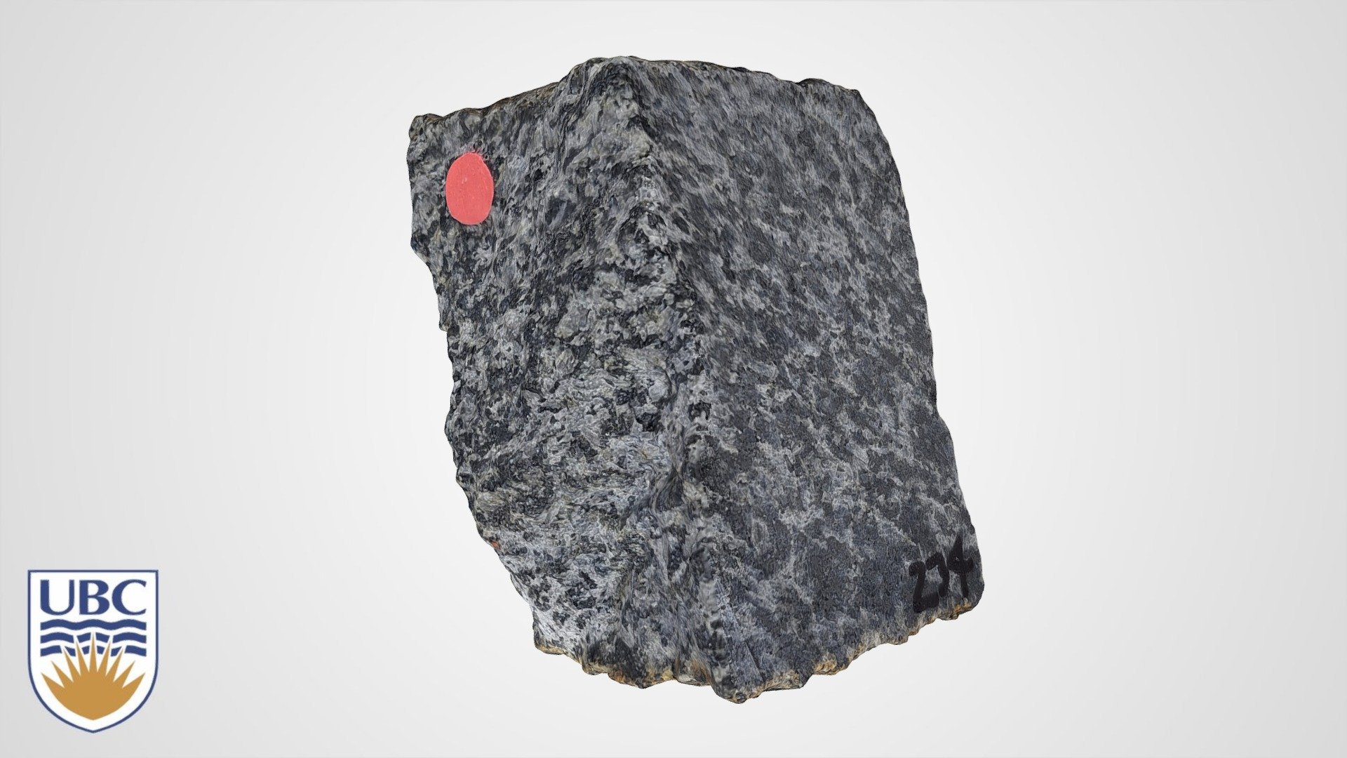 Skaergaard intrusion MZ (SEB87-234) - 3D model by Nichole Moerhuis (UBC ...