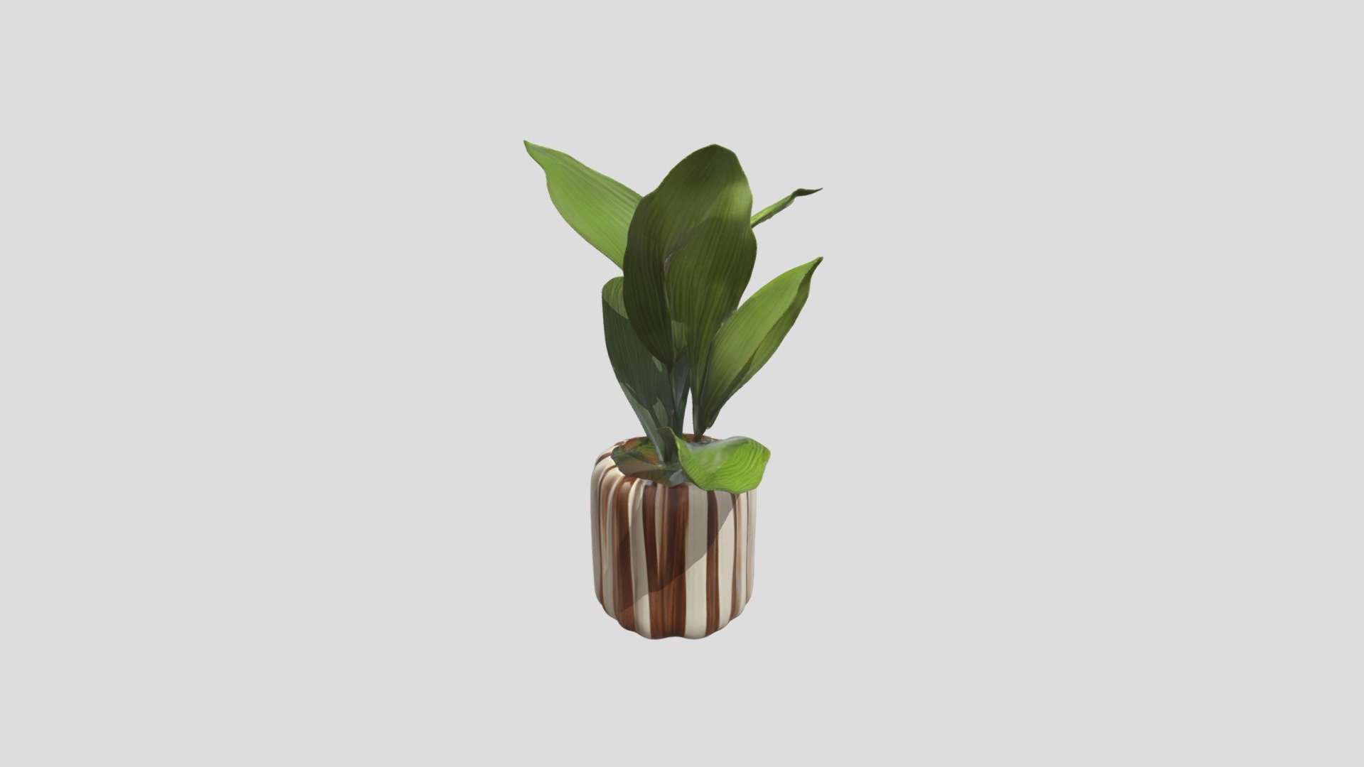 Vibrant Potted Plant | Home Decor Asset 3D Prop - Download Free 3D ...