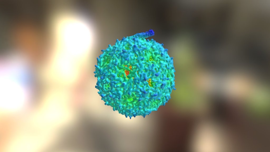 EMDB › EMD-3402 - 3D model by Interactive 3D Data (@proteinsimulation ...