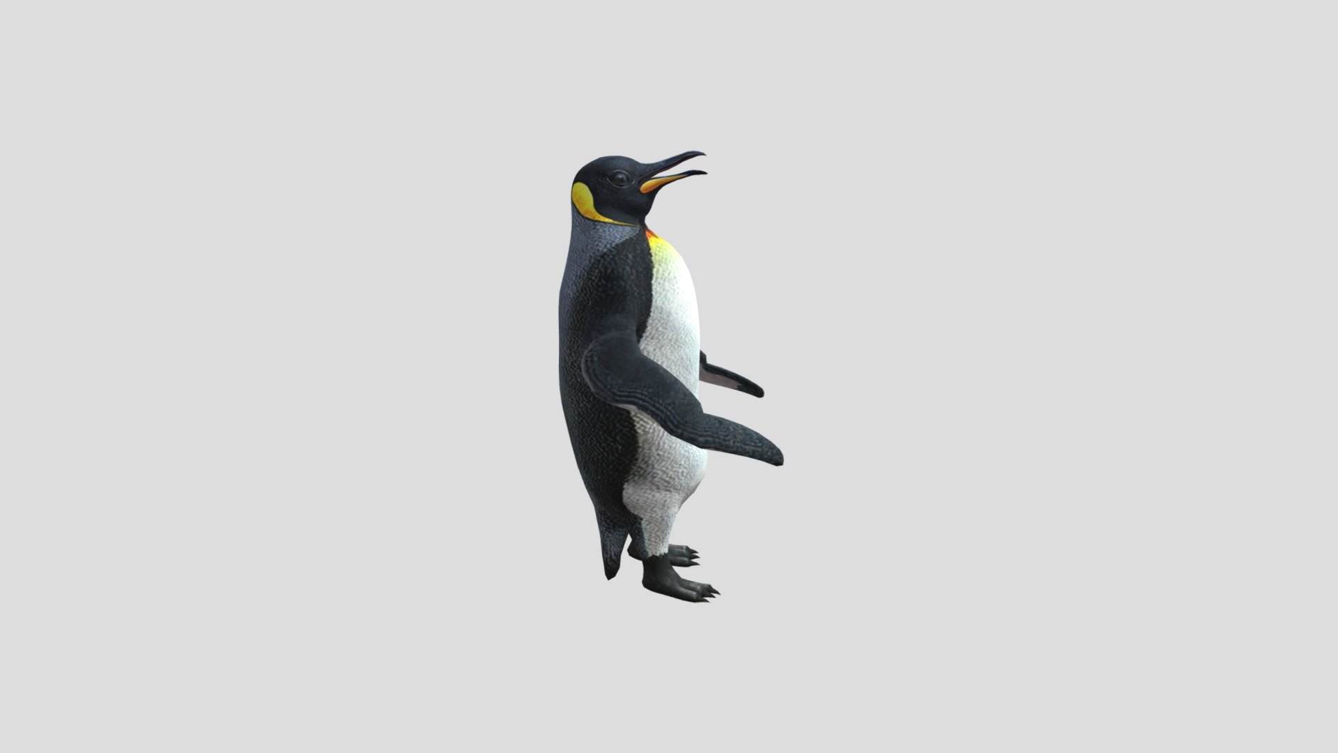 penguin - Download Free 3D model by andreysouzanascimento692 [6dbed5d ...