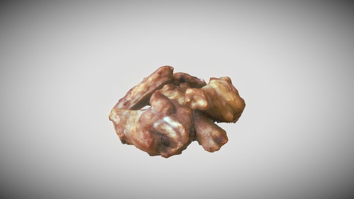 Chickenwings 3D models - Sketchfab