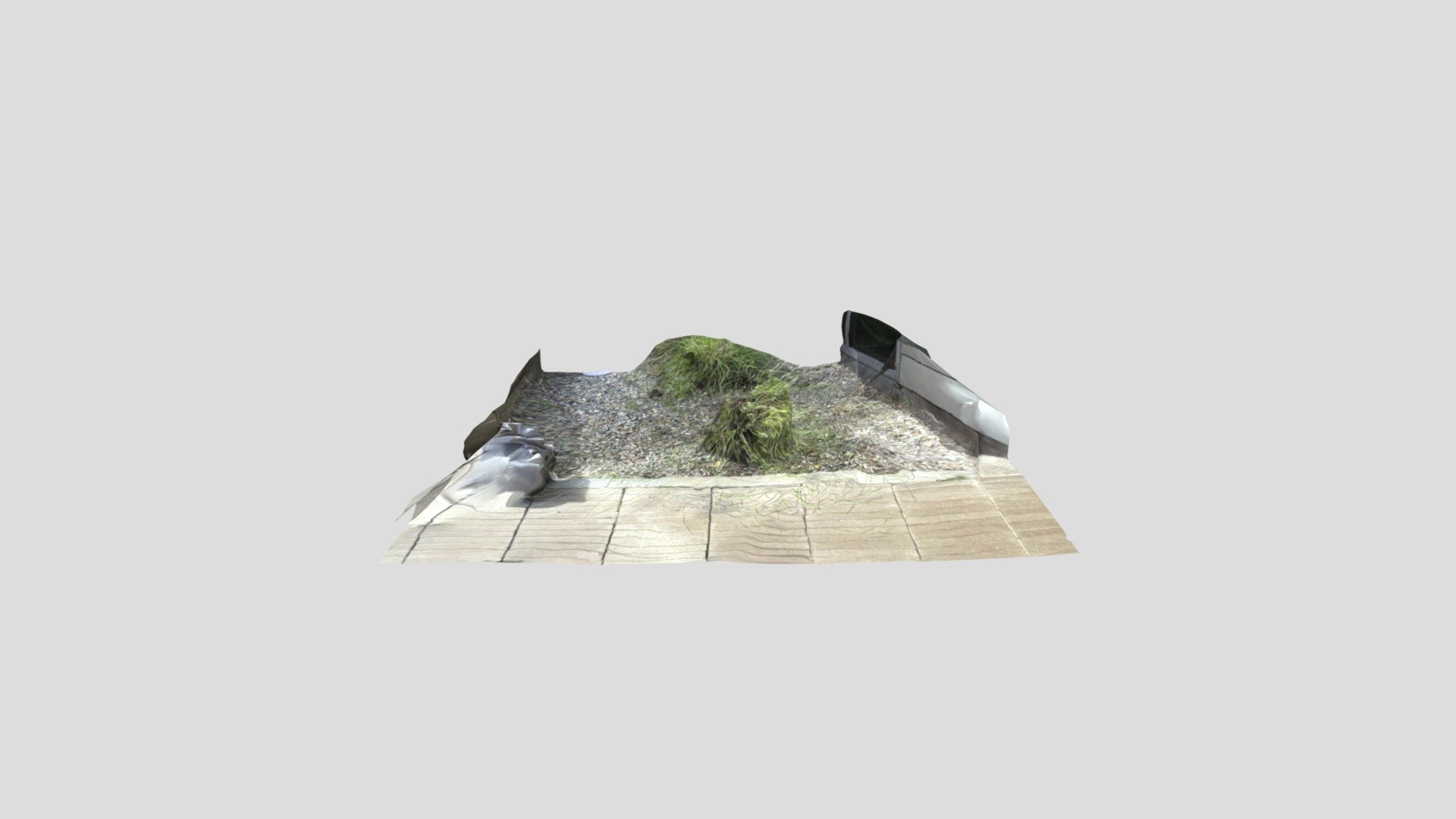 Achnatherum hymenoides - 3D model by as730 [6dc641a] - Sketchfab