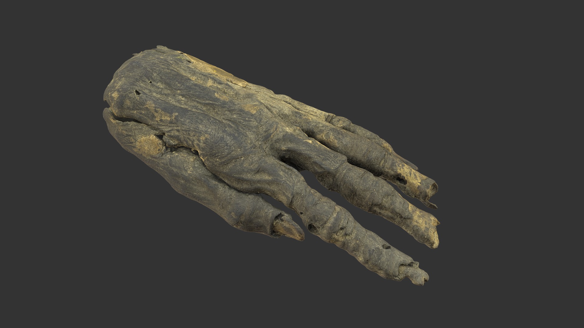 Scanned Bodypart - Ancient mummy male hand - 3D model by marcell.erdodi ...