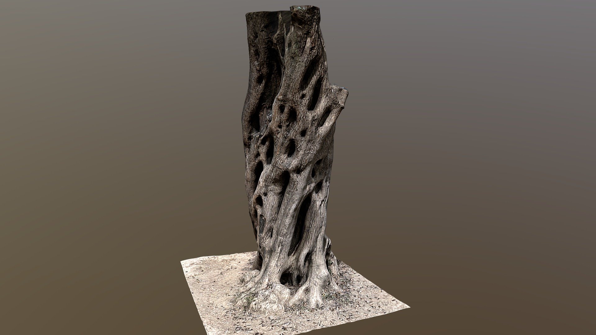 Beautiful Tree Log - Download Free 3D model by Aupuma [6dce115] - Sketchfab